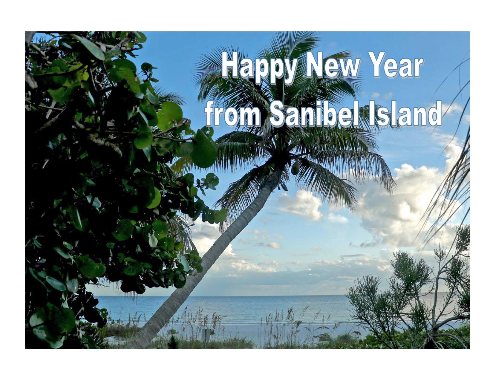 It’s Gonna Be a Sunny Warm New Year on Sanibel Island | Sanibel Scoop ...